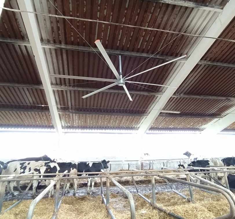 Large HVLS fans for energy savings and improved indoor climate